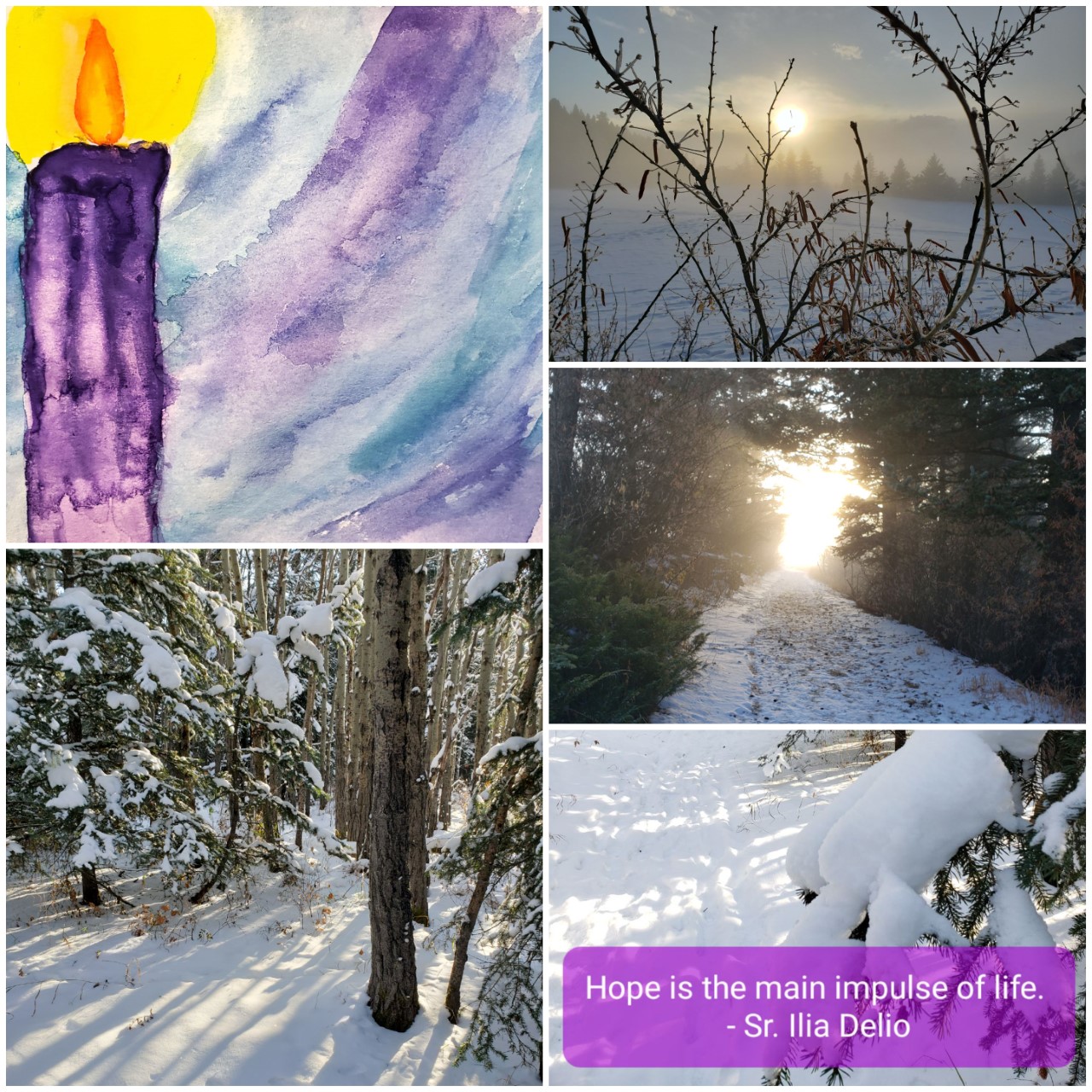 Advent: We Walk in Hope